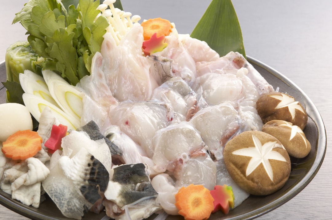 Have you not yet decided your next travel destination? Find your ...